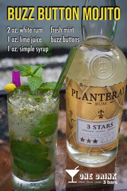 Buzz Button Mojito cocktail recipe